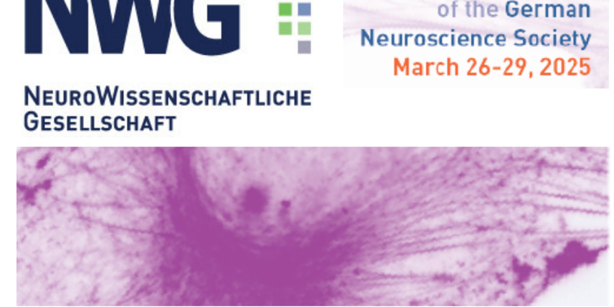 InnoQuant workshop at Neurowissenschaftliche Gesellschaft 2025 - Innopsys